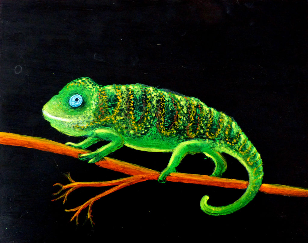 Chameleon - Art of diNo